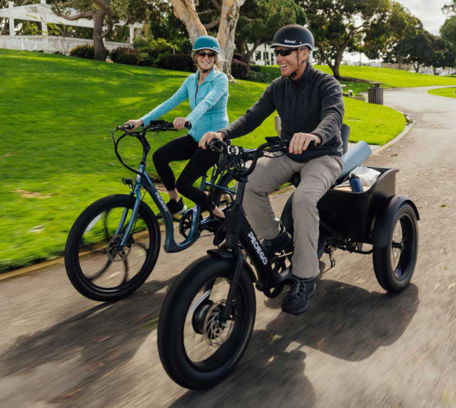 Discover Pedego Fat Tire Trike - New Ebike Released